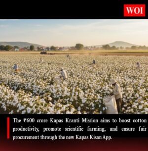 ₹600 Crore Kapas Kranti Mission Launched to Boost Cotton Productivity ...